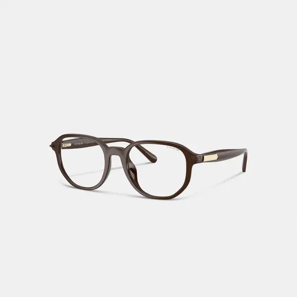 COACH Clip-on Round Sunglasses - Brown