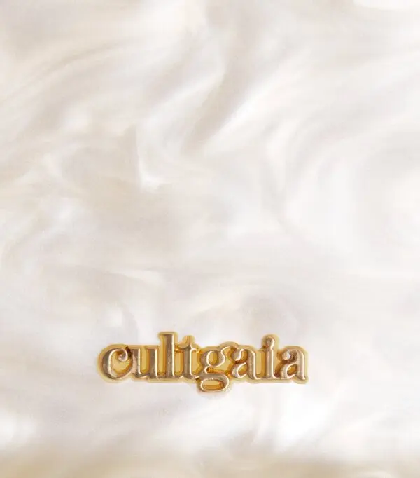Cult Gaia Acrylic Ilaria Clutch Bag