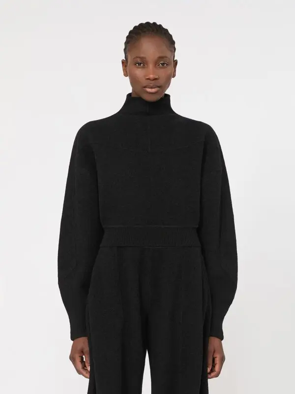 Max Mara Cropped Wool And Cashmere Jersey Sweatshirt