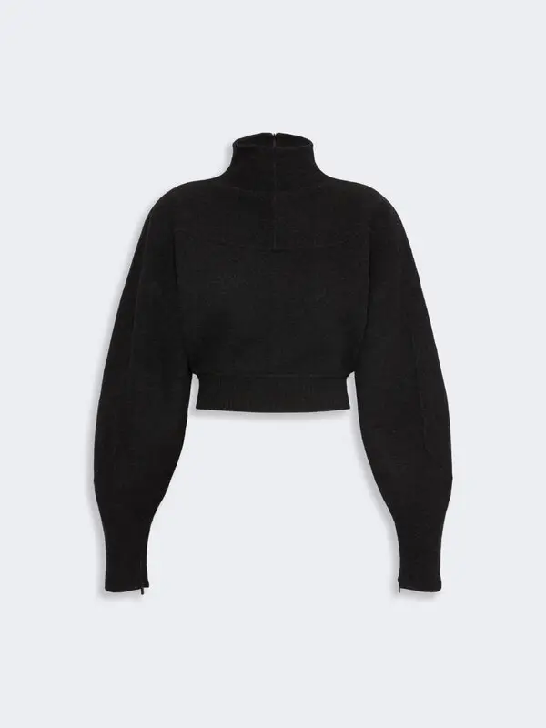 Max Mara Cropped Wool And Cashmere Jersey Sweatshirt