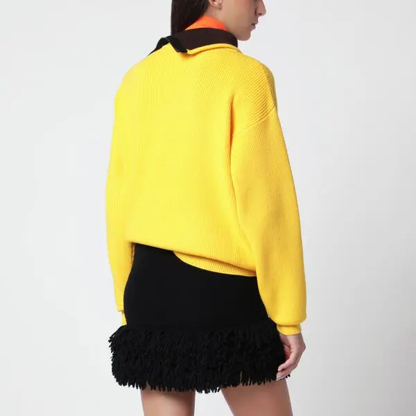 Loewe Wool Sweater With Zip Detail - Yellow