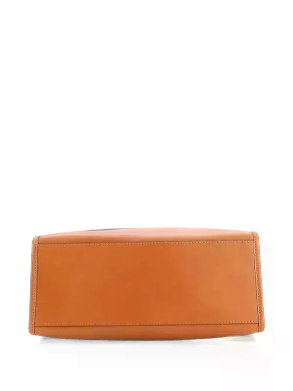 Fendi Sunshine Shopper Leather Medium Tote Bag