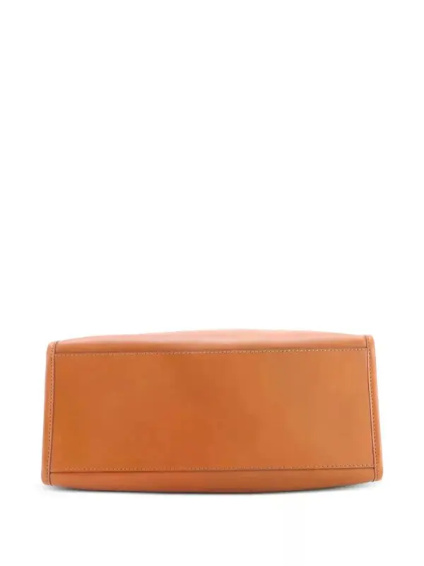 Fendi Sunshine Shopper Leather Medium Tote Bag - Brown