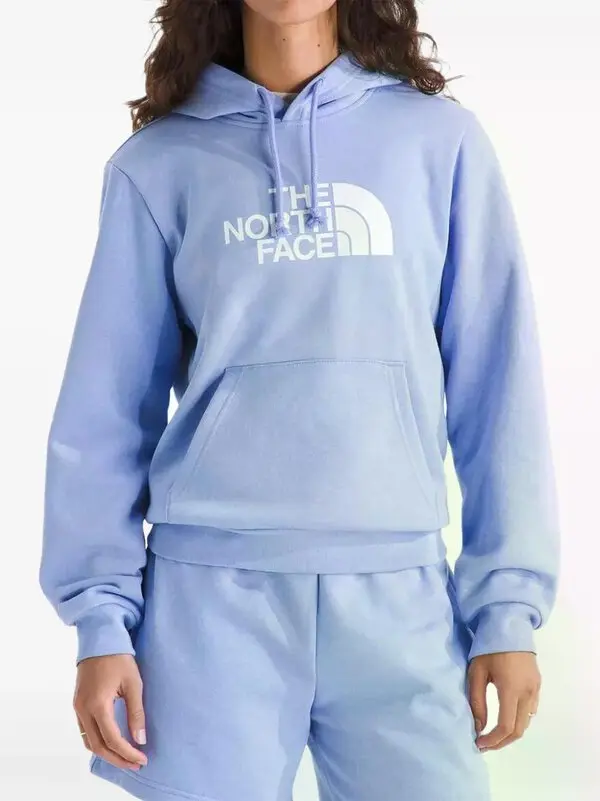 The North Face Evolution Half Dome Hoodie - Purple
