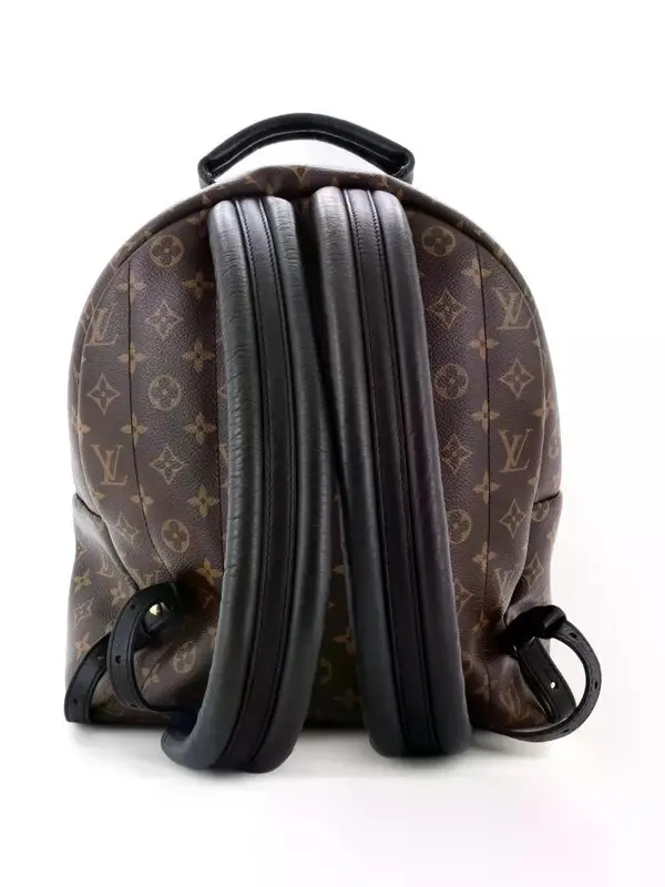 LOUIS VUITTON Palm Springs Monogram Canvas Mm Backpack - Brown