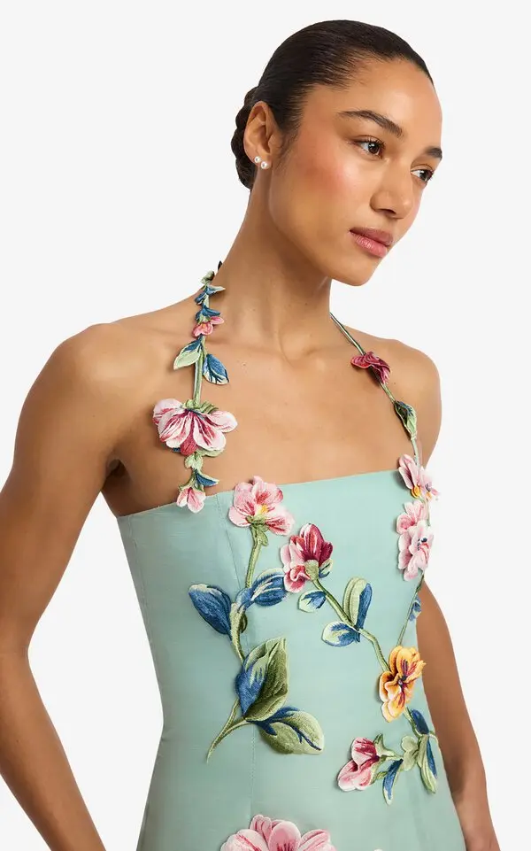 LEO LIN Rayna Embroidered Linen-silk Maxi Dress