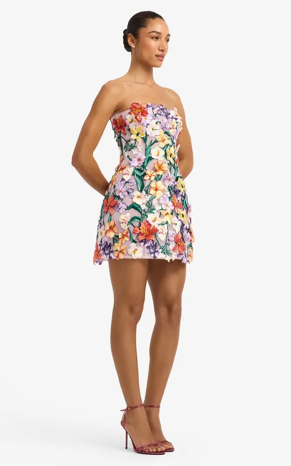 LEO LIN Roselle Hand-embroidered Mini Dress - Multi