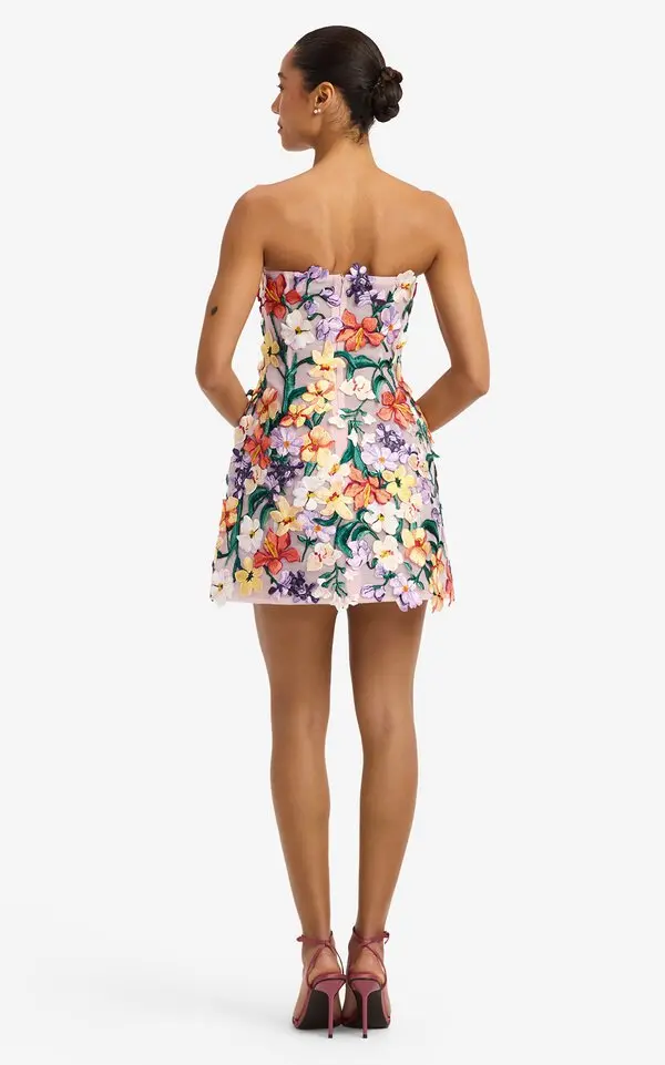 LEO LIN Roselle Hand-embroidered Mini Dress - Multi