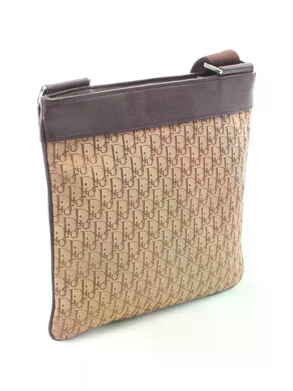 Dior 2010s Trotter Street Chic Crossbody Bag