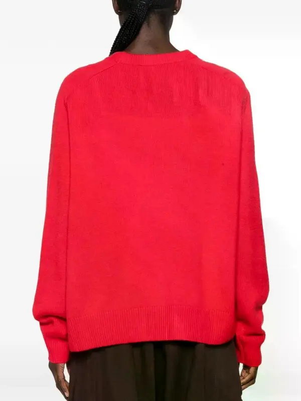 Soft Goat Raglan-sleeve Crew-neck Sweater
