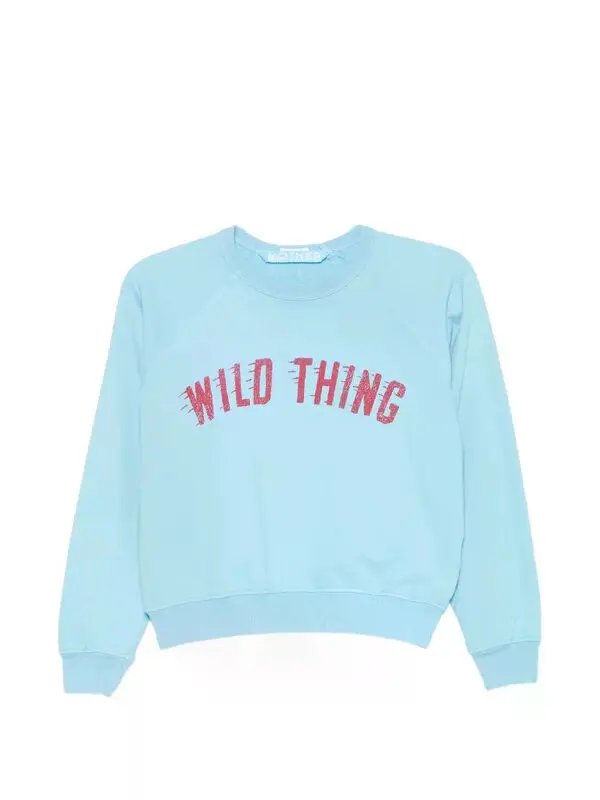 MOTHER The Concert Sweatshirt