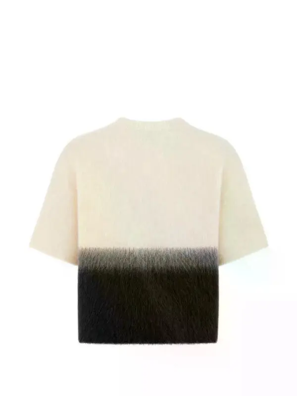 Antonelli Firenze Gradient-effect Short-sleeved Sweater