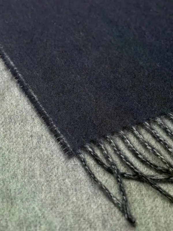 Johnstons Of Elgin Reversible Fringed Scarf