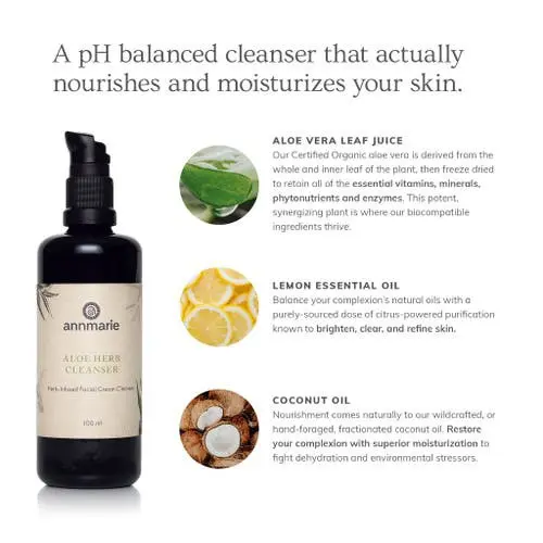 ANNMARIE SKIN CARE Aloe Herb Cleanser