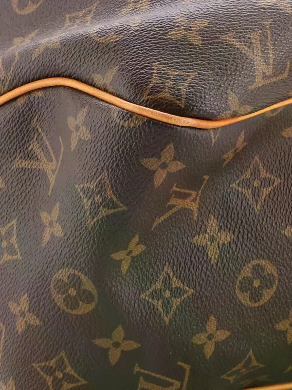 LOUIS VUITTON Delightful Handbag Monogram Canvas Gm Hobo Bag