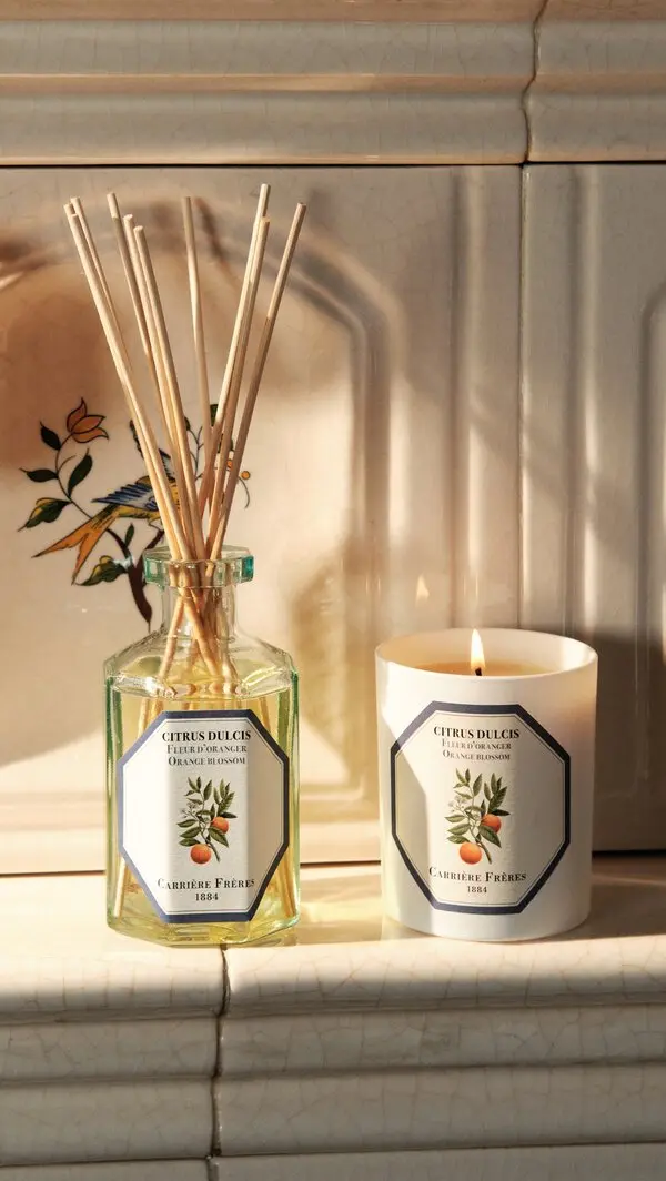 CARRIERE FRERES Orange Blossom Candle 6.5