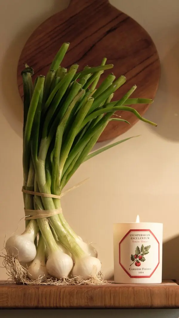 CARRIERE FRERES Tomato Candle 6.5