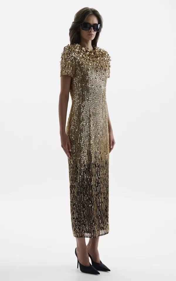 Rachel Gilbert Kala Maxi Dress