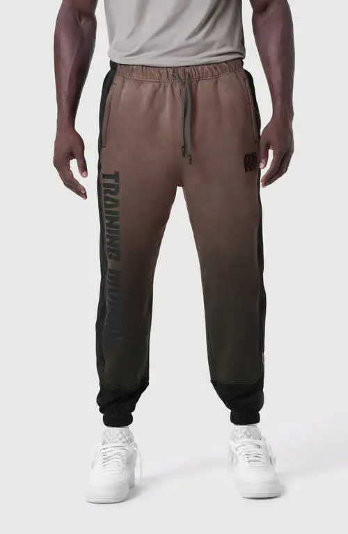 ASRV Tech Terry Mesh Panel Sweatpants - Dark Earth