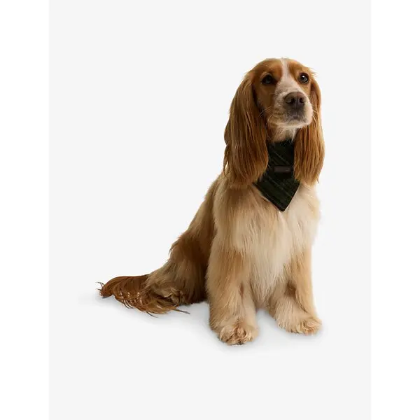 Barbour Wilkin Cotton-blend Dog Bandana