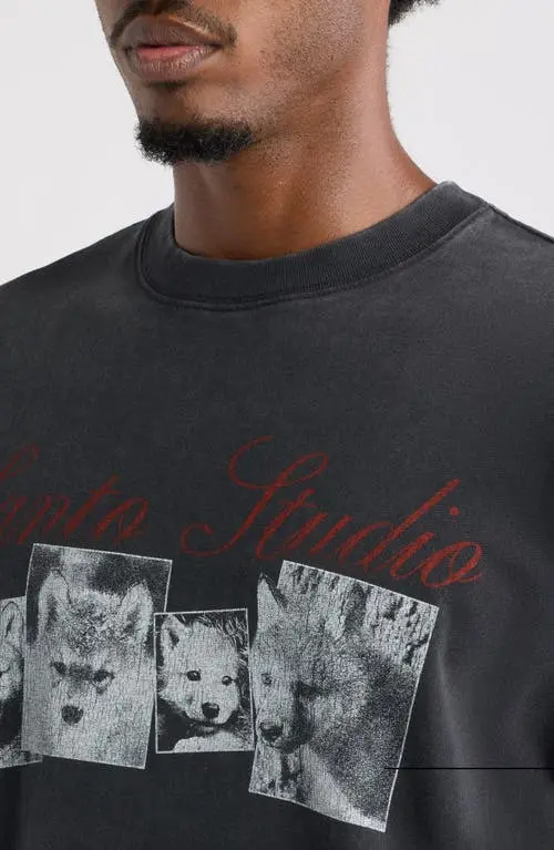 SANTO STUDIO Baby Dog Graphic T-shirt