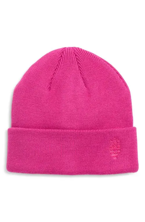 Free People Lil Buti Beanie - Fuschia
