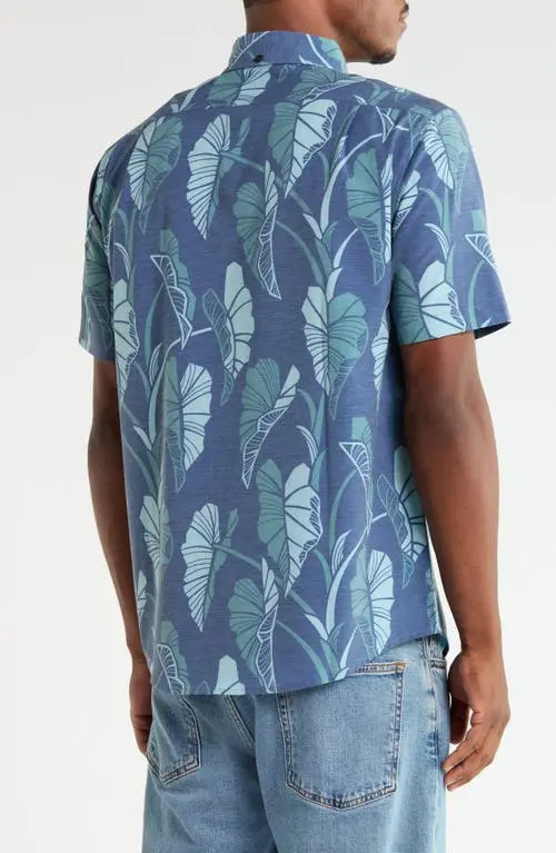 Reyn Spooner Trailing Taro Button Down Shirt - Navy