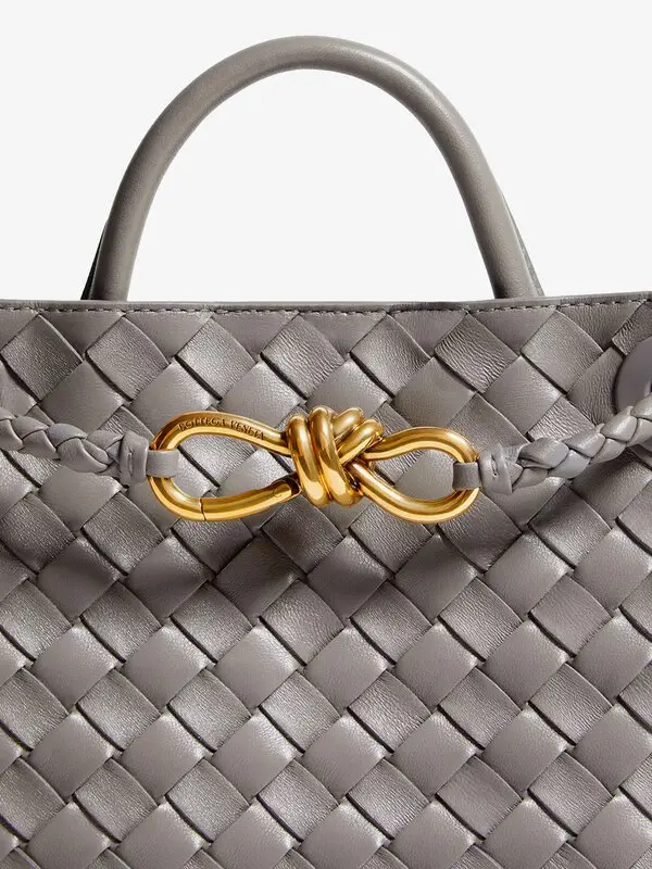Bottega Veneta Andiamo Small Leather Crossbody Bag