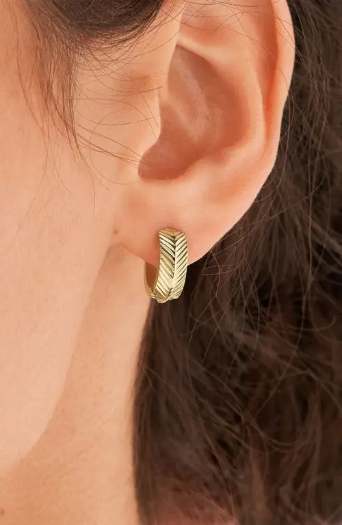 Fossil Harlow Textured Huggie Hoop Earrings