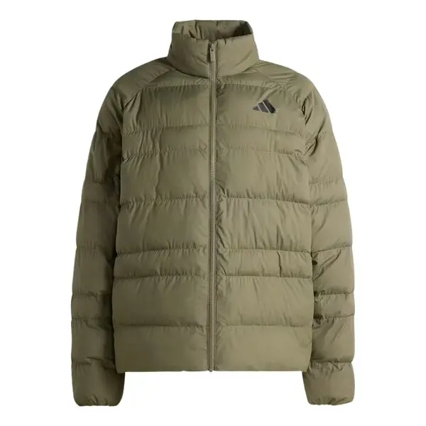 Adidas Jacket Asia Sizing