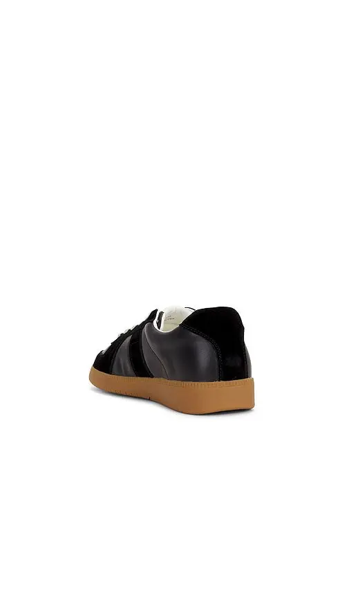 Steve Madden Dixon - Black