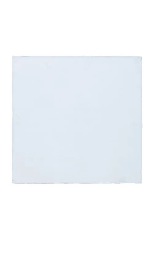 Donni. X The Silk Scarf In Baby Blue - Cloud
