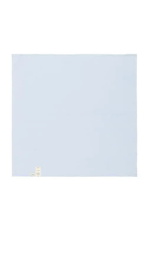 Donni. X The Silk Scarf In Baby Blue - Cloud