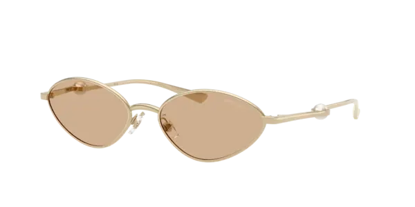 JIMMY CHOO Sunglass Jc4033h - Brown