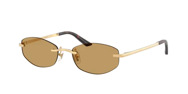 Versace Sunglass Ve2308d - Brown