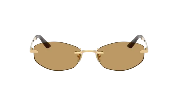 Versace Sunglass Ve2308d - Brown