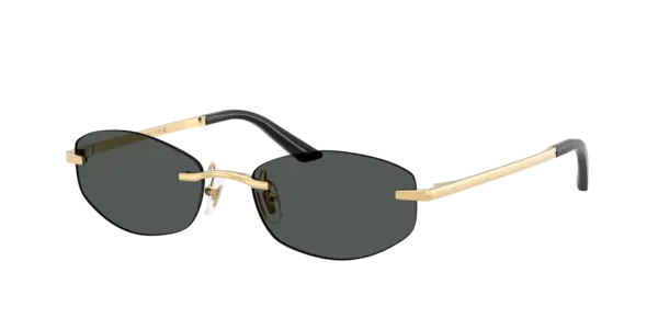 Versace Sunglass Ve2308d - Dark Grey