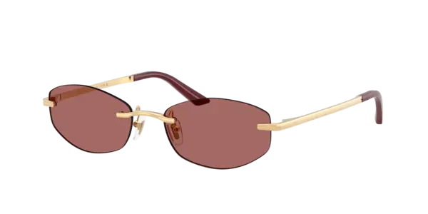 Versace Sunglass Ve2308d - Dark Violet