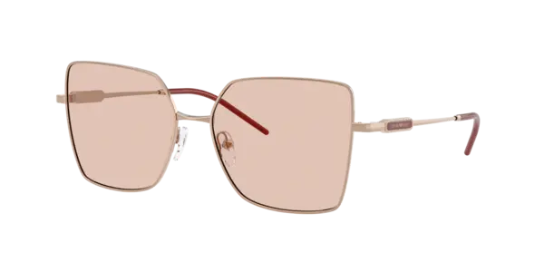 Emporio Armani Sunglass Ea2179 - Light Brown
