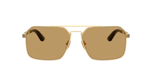 Versace Sunglass Ve2306 - Brown