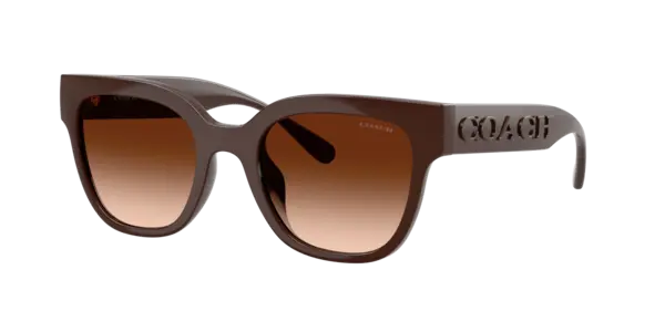 COACH Sunglass Cft88 - Brown Gradient