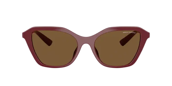 Armani Exchange Sunglass Ax4173su - Brown