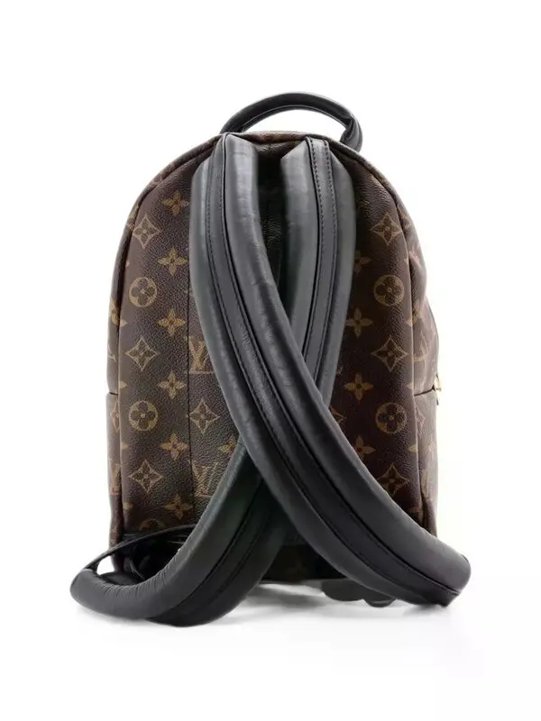 LOUIS VUITTON Palm Springs Monogram Canvas Pm Backpack - Brown