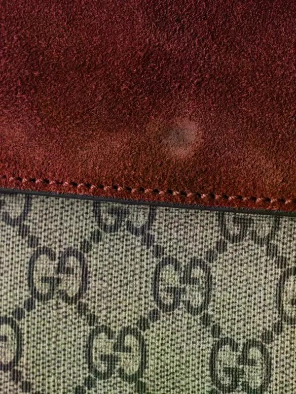 Gucci Dionysus Bag Blooms Print Gg Coated Canvas Small Shoulder Bag