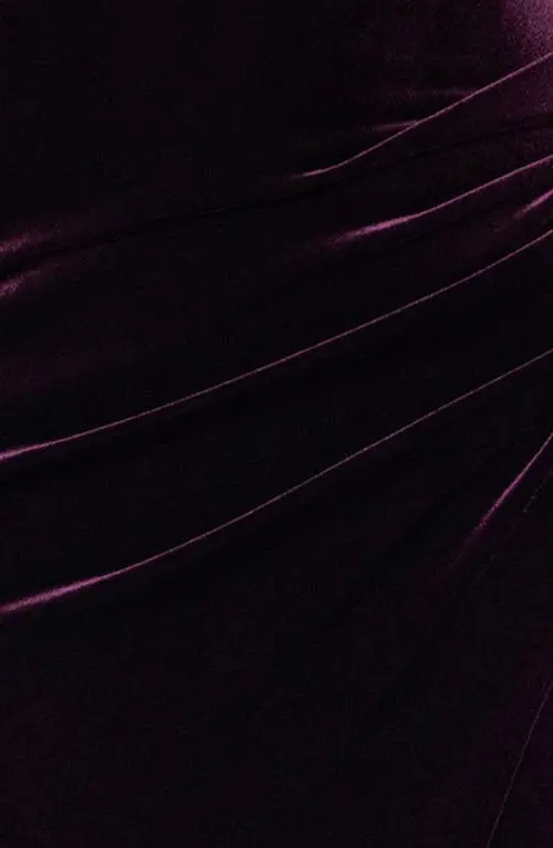 Betsy & Adam Velvet Halter Gown