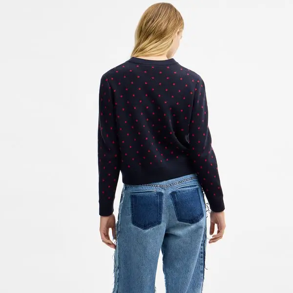 COACH Double Face Crewneck Sweater