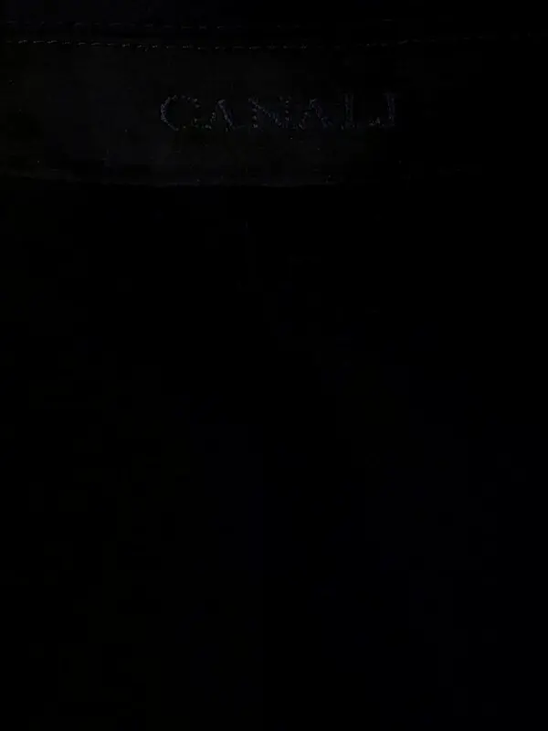 Canali High-neck Button-up Coat