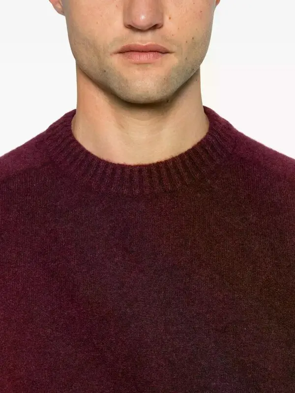 SPINA Raglan-sleeve Sweater