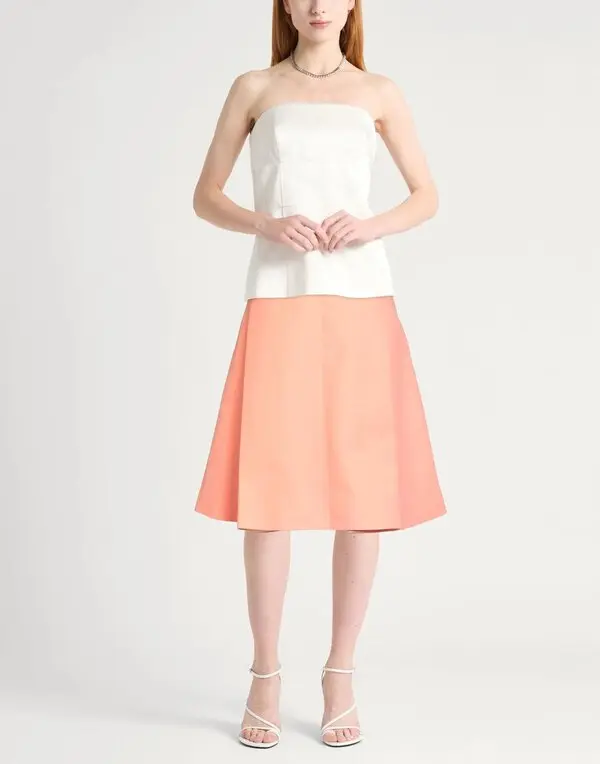Marni Unlined Pleated Skirt