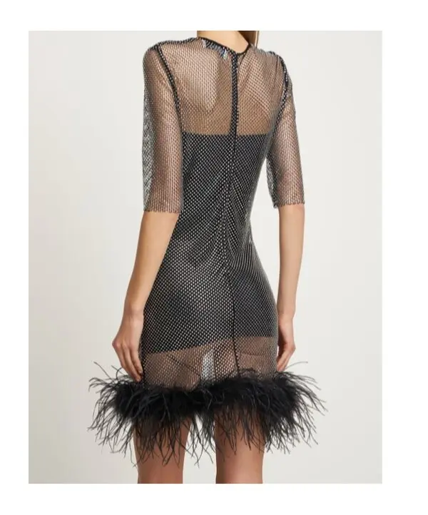 Giuseppe Di Morabito Embroidered Mesh Mini Dress